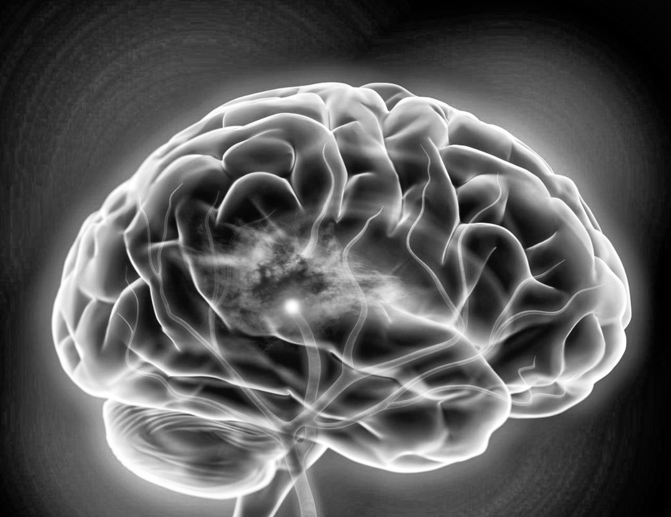 Heiko Schneider - Zurück zur Startseite